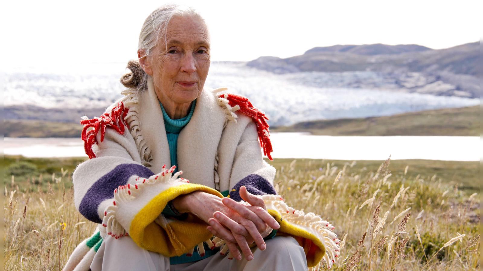 „Jane's Journey”: Filmmuseum zeigt Doku über Affenforscherin Jane ...